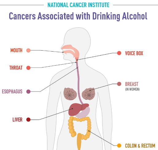 Does Drinking Alcohol Cause Cancer? – Coast Health